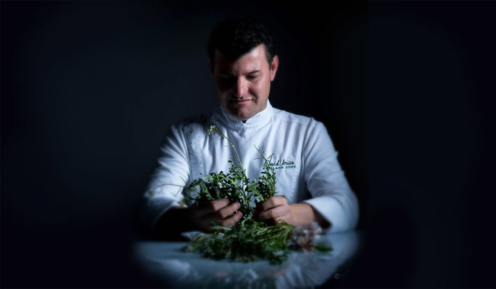 Asesoramiento Gastronómico - David Ariza